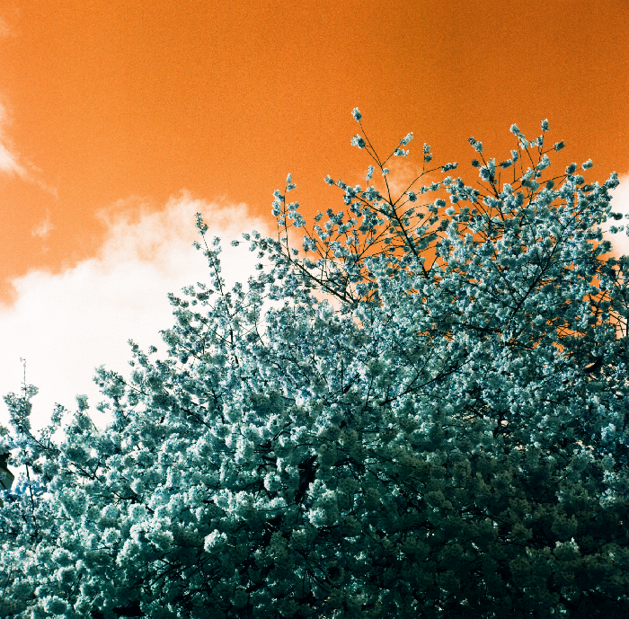 Landscapes & More :: freikugel