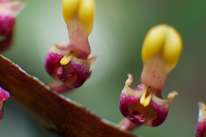 Flask Inventory :: freikugel